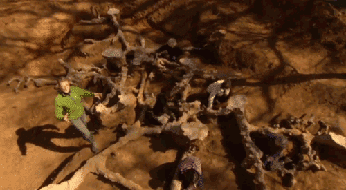 BBC Rabbit Warren - Bicton Park Botanical Gardens